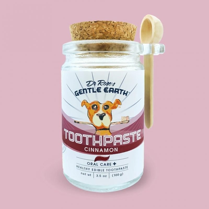 GENTLE EARTH PETS All Natural Vegan Dog Toothpaste - Cinnamon Flavor ...